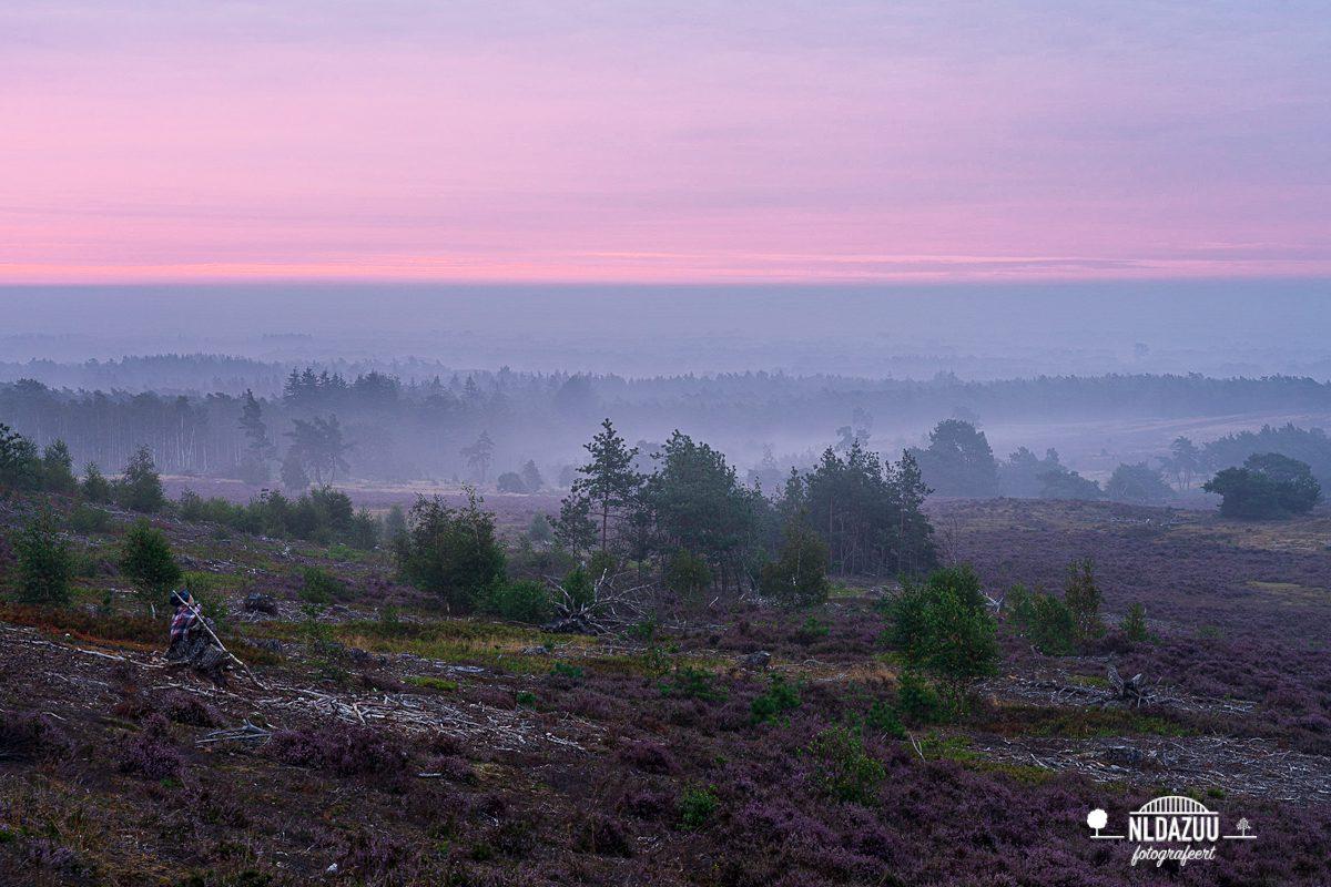 5 tips om de heide te fotograferen - Dutch Photo Academy